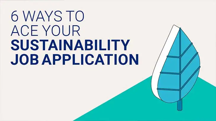 6 ways to ace your sustainability job application