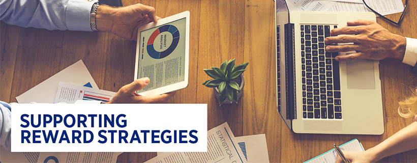 Salary Benchmarking Hays salary-benchmarking-hays